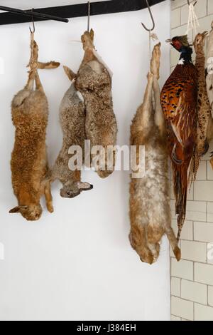 Hanging meat carcass Stock Photo - Alamy
