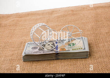 Birds cage placed on bundle of US dollar banknote Stock Photo - Alamy