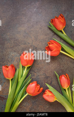 Red Tulips over stone background. Top view, blank space Stock Photo - Alamy