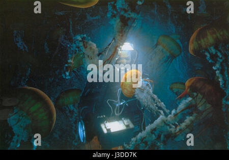 Sphere Year: 1998 USA Director: Barry Levinson Stock Photo - Alamy