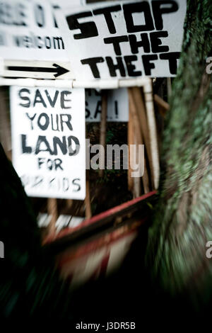 In the garden of Nelson Armitage, Foreign Minister of the independence ...