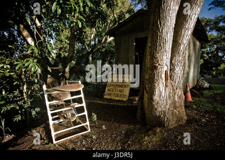 In the garden of Nelson Armitage, Foreign Minister of the independence ...