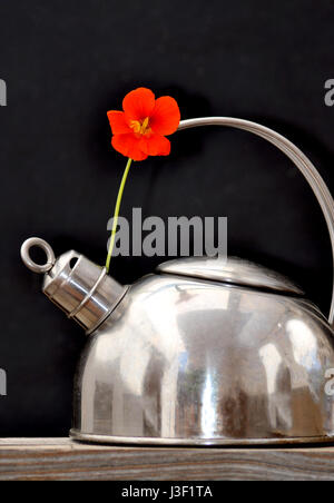 Still life, backgrounds, unusual view Stock Photo - Alamy