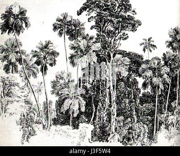 Ferdinand Bellermann was a German artist, known for his landscape ...