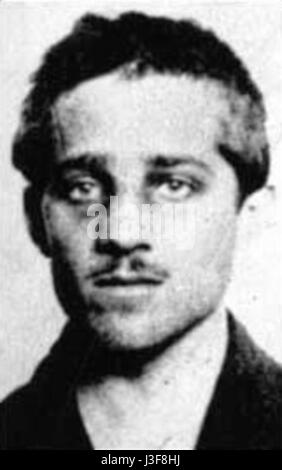 Gavrilo Princip, the assassin of Archduke Franz Ferdinand, is shown in ...