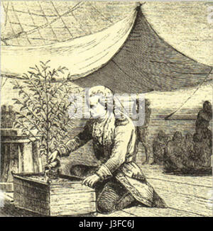Gabriel De Clieu Stock Photo - Alamy