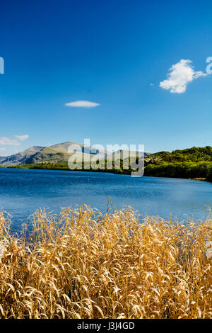Crib Goch, the Red Comb in English, one of the peaks of the Snowdon ...