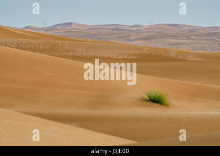 United Arab Emirates - The southern sand desert of Al Ain at sunset ...