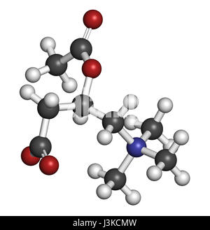 Acetylcarnitine (ALCAR) nutritional supplement molecule. Stylized ...