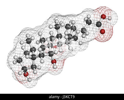 Cholic acid (cholate) molecule. Main bile acid component. Stylized ...