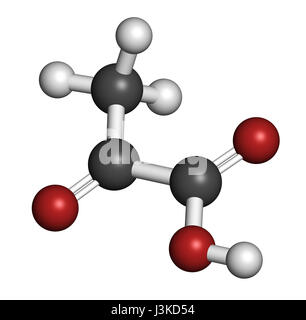 Pyruvic acid (pyruvate) molecule. Important intermediate in a number of ...