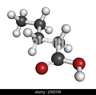 Valeric acid, pentanoic acid or valerate molecule. Skeletal chemical ...