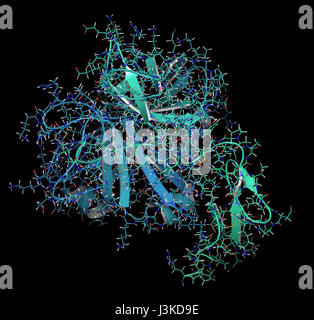 Blood coagulation factor Xa. Plays role in blood clotting and ...