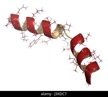 Melittin peptide toxin. Major component of apitoxin (honey bee venom ...