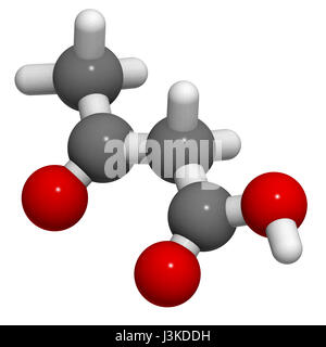 Ketone body (acetoacetic acid), molecular model. Atoms are represented ...
