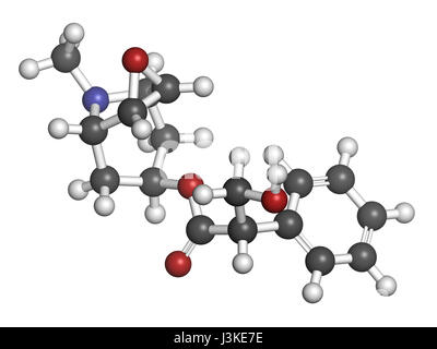 Scopolamine. Molecular model of the tropane alkaloid drug scopolamine ...
