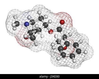 Scopolamine. Molecular model of the tropane alkaloid drug scopolamine ...