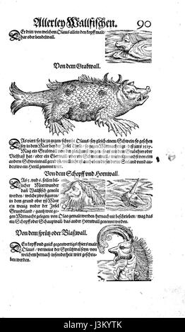 'Gesner Fischbuch' is a 16th-century book by Konrad Gesner, featuring ...