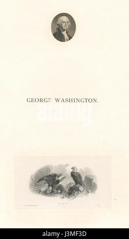 A portrait of George Washington, the first President of the United ...