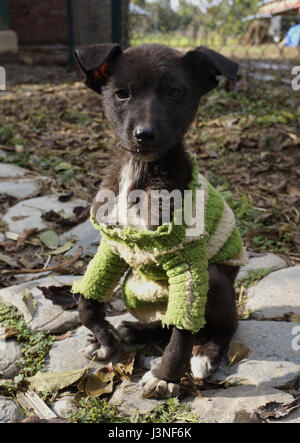 (dpa) - An undated family photo shows Pascal Zimmer from Saarbruecken ...