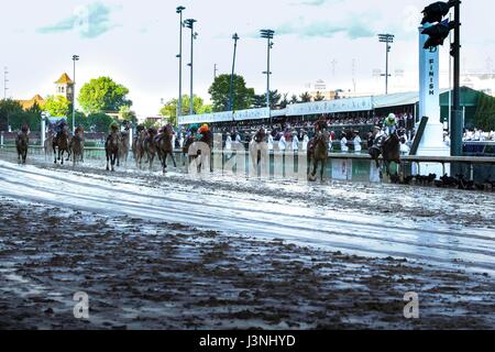 Winning horse crossing the finish line during horserace at Churchcill ...