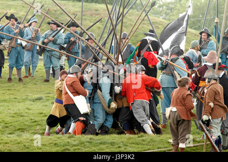 English Civil War Society pikemen during a re-enactment, Somerset, UK ...