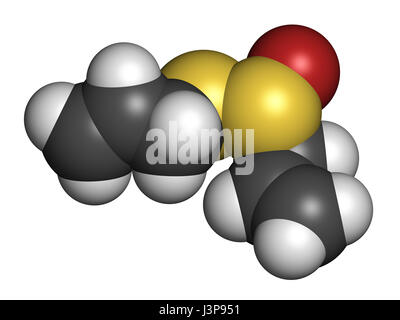 Allicin garlic molecule. Formed from alliin by the enzyme alliinase ...
