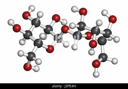 Trehalose (mycose, tremalose) sugar molecule. Skeletal formula Stock ...