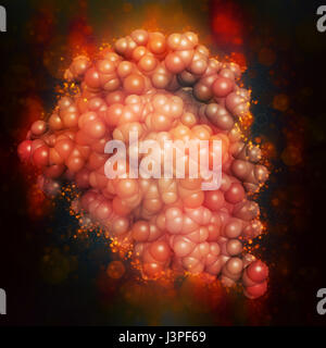 Insulin peptide hormone molecule in different models on white background. Insulin produced by ...