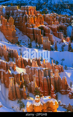 Beautiful winter park with sunset colors sky and trees Stock Photo - Alamy