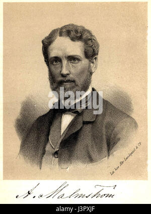 Johan August Malmstrom Stock Photo - Alamy