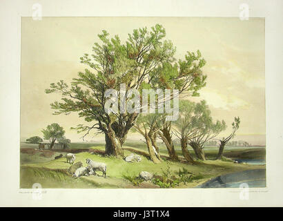 James Duffield Harding was an English painter, known for his work in ...