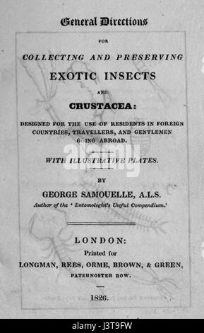 A guide to preserving insect specimens for nature study, with detailed ...