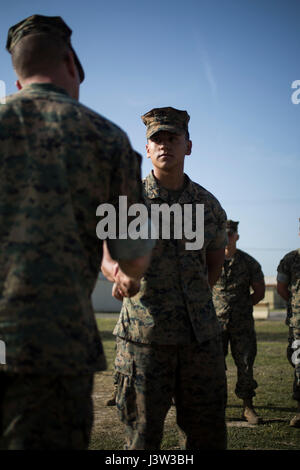 Lt. Col. David C. Emmel, commander of the Black Sea Rotational Force ...