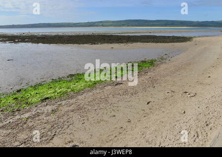 The beach at Dungarvan in Ireland in springtime Stock Photo - Alamy