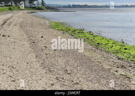 The beach at Dungarvan in Ireland in springtime Stock Photo - Alamy
