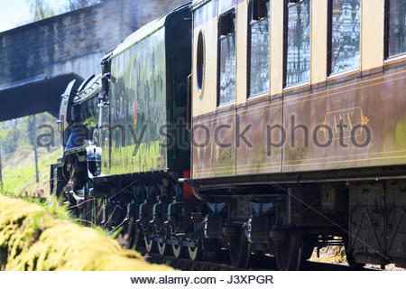 A Pullman carriage on the Flying Scotsman steam train at Wylam Stock ...