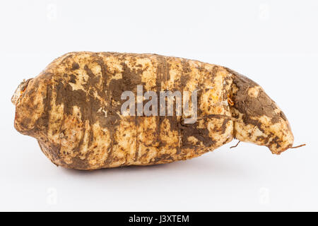 Arracacha (Arracacia xanthorrhiza) isolated in white background Stock ...