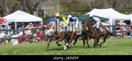 Spring Steeplechase in Aiken, SC Stock Photo - Alamy
