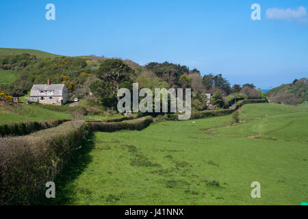 Hope Barton farmland looking down towards Hope Cove, Kingsbridge, South ...