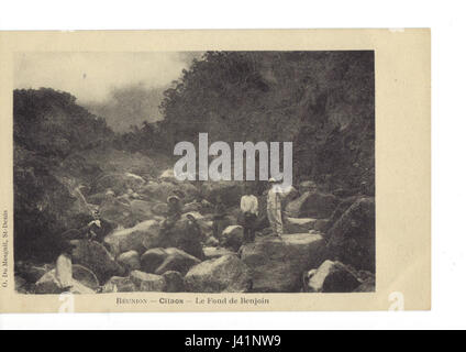 La Reunion le fond de Benjoin Stock Photo - Alamy