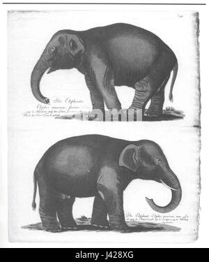 A 'Menagerie' refers to a collection of animals, often displayed in a ...
