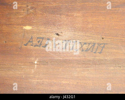 Leonardo da Vinci LUCAN self portrait PORTRAIT Stock Photo - Alamy