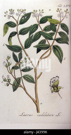 In the Philippines, a Filipino family uses water buffalo to navigate ...