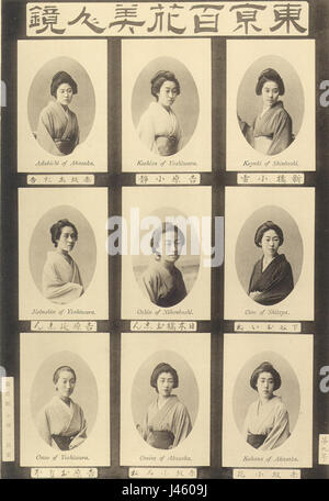 A photograph of a Geisha from Ogawa, Japan, showcasing traditional ...