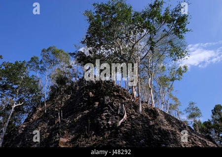 View of El Dante the largest triadic pyramid structure ever build in ...
