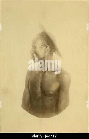 Richard Buchta Shilluk man I Stock Photo - Alamy