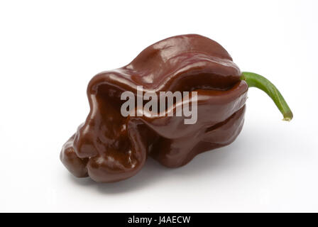 Congo Black Chili Stock Photo - Alamy