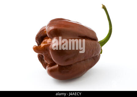 Congo Black Chili Stock Photo - Alamy