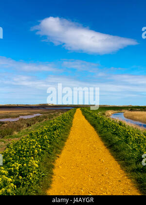 Coastline at Burnham Overy Staithe, Norfolk, England Stock Photo - Alamy